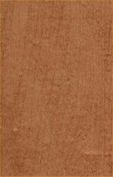 Finishes For Kitchen Doors